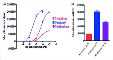 Measurements Of B Arrestin 2 Recruitment By The Pathhunter Enzyme Download Scientific Diagram