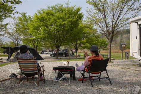 계절의 여왕 5월텐트 치고 힐링할 경기도 캠핑장은 뉴스1