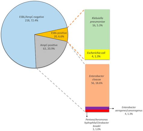 Occurrence Typing And Resistance Genes Of Esblampc Producing