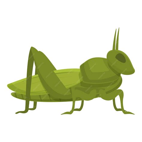 Premium Vector Cricket Grasshopper Icon Cartoon Vector Animal Insect