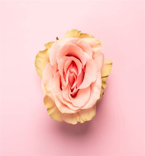 클리토리스에 자극이 안느껴질 때 deeping contents