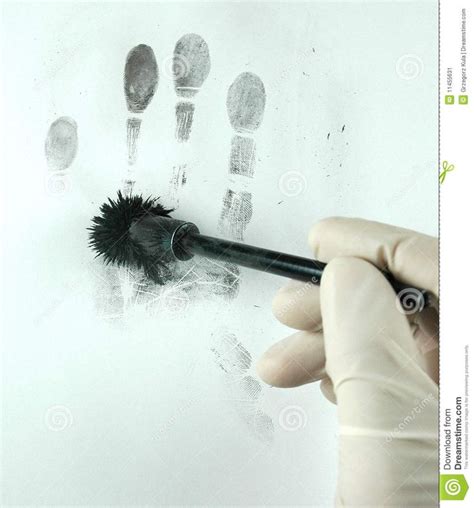Revealing The Mystery Of Fingerprints