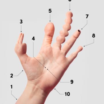 What S New In Augmentation Future Of Sex