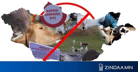 ХӨВСГӨЛ Мал амьтны шилжилт хөдөлгөөнийг он дуустал хориглов