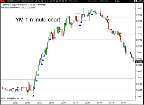 Liquidity Flows Indicator For Nt8