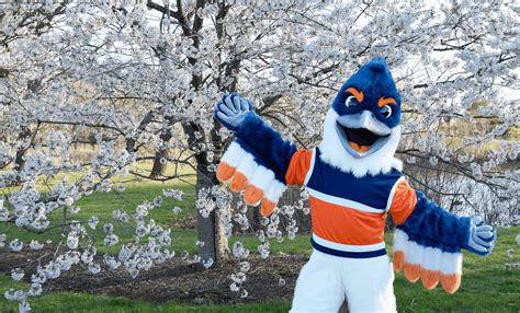 University Of Illinois Mascot History