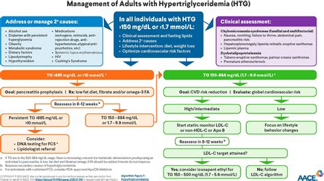 Aace Algorithm For Management Of Adults With Dyslipidemia 2025 Update Guideline Summary