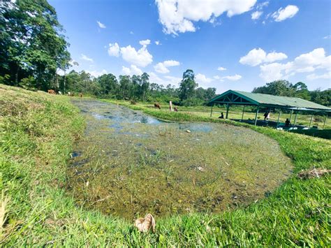 Biodiversity Gains And Losses The River Yala Basin Now Photostory Infonile