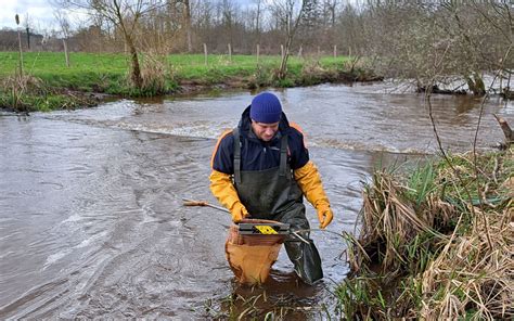 Mapping Of The Kleine Nete Pilot Project Stakeholders And Needs Connected River Interreg