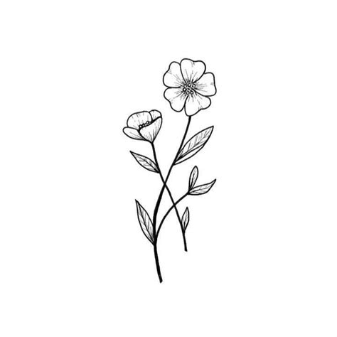 Flower Stem Drawing
