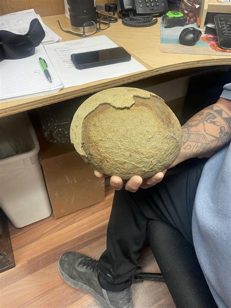 Possible Fossilized Egg Rfossilid