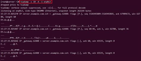10+ tcpdump command examples in Linux [Cheat Sheet] | GoLinuxCloud