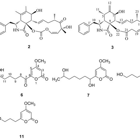 Zhiyong Guo Hubei Key Laboratory Of Natural Product Research And Development Ph D