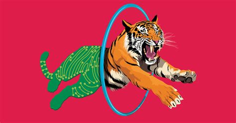 Auditing Algorithmic Risk Mit Sloan Management Review