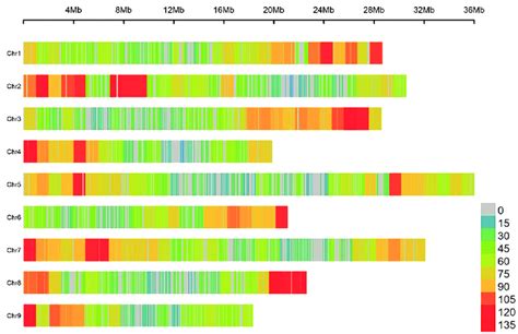 Density Of Markers In The Chromosomes Considering All Markers Download Scientific Diagram