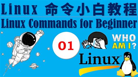 Linux 命令小白教程通过讲故事来熟悉常用Linux命令 YouTube Linux 命令小白教程通过讲故事来熟悉常用Linux命令 YouTube