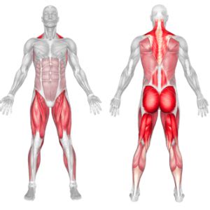 How To Do Romanian Deadlift Muscles Worked And Benefits