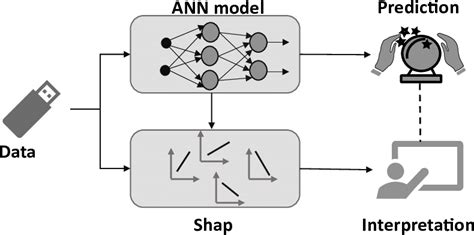 Graphical Representation Of How A Shap Model Assists In The