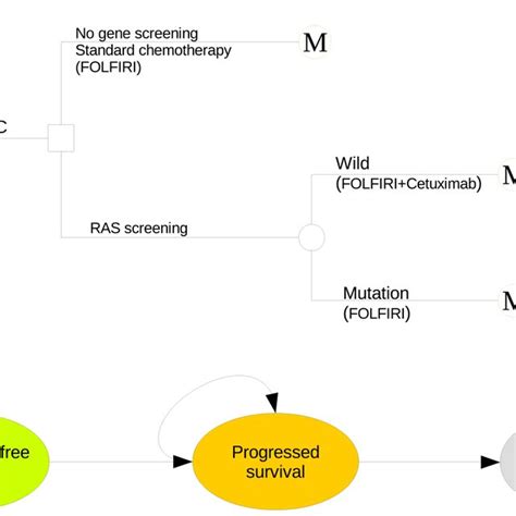 The Schematics Of The Decision Tree A And The Markov State Transition