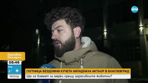 Глутница бездомни кучета нападна мъж в центъра на Благоевград Vbox7