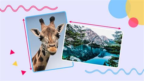 Portrait Vs Landscape How To Choose Which Orientation To Use