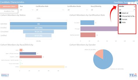 Selecting Gender Insight To Impact