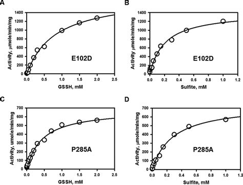 Kinetic Analysis Of The Gsshsulfite Sulfurtransferase Reaction