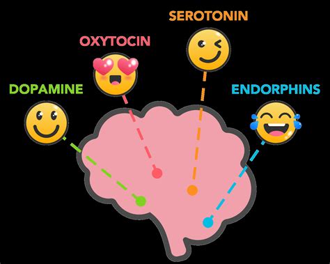 Serotonin And Dopamine Happiness