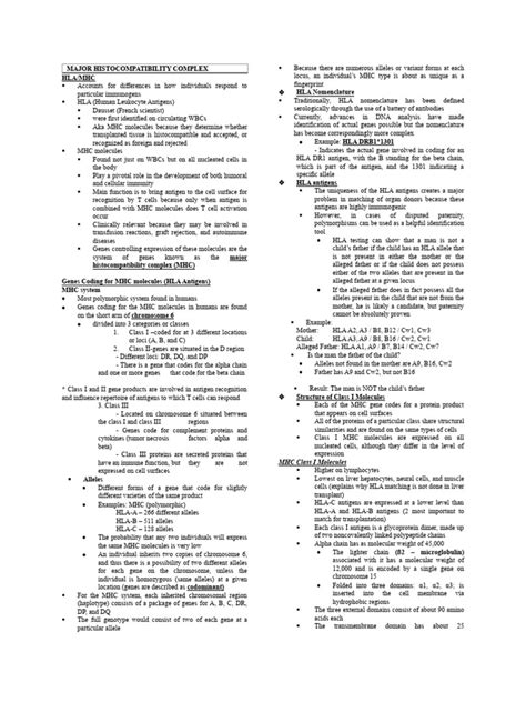Major Histocompatibility Complex Notes Pdf Mhc Class I Human