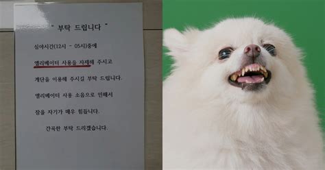 잠을 어느 아파트에 떡하니 붙은 공지문 층간소음과 1도 상관없고 잘못 봤나 싶어 눈을 비비고 또 비볐다