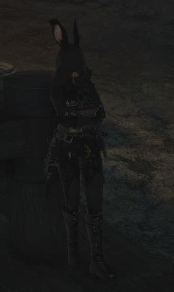 Dancing Assassin Eorzea Collection