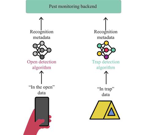 Precise Agriculture Effective Deep Learning Strategies To Detect Pest Insects