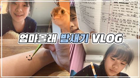 잠 안자고 할 일이 왜이리 많은 거죠엄마몰래 밤새기 브이로그 숙제하고 셀프 헤나 하고 게임하고 놀기하이 유리 Youtube
