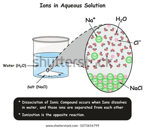 Solvent Solute Combination Images Stock Photos D Objects Vectors Shutterstock