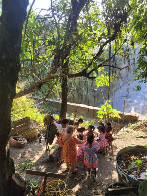 Temporal Aflige Luta Agroecológica No Morro Da Providência