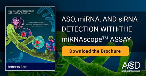 Advanced Cell Diagnostics Acd On Linkedin Let Us Run Your Biomarker