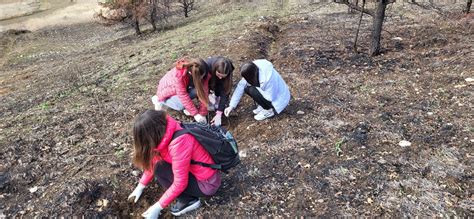 ЗЕЛЕНА ОПШТИНА ИЛИНДЕН Средно општинско стручно училиште „Илинден“ Средно општинско стручно