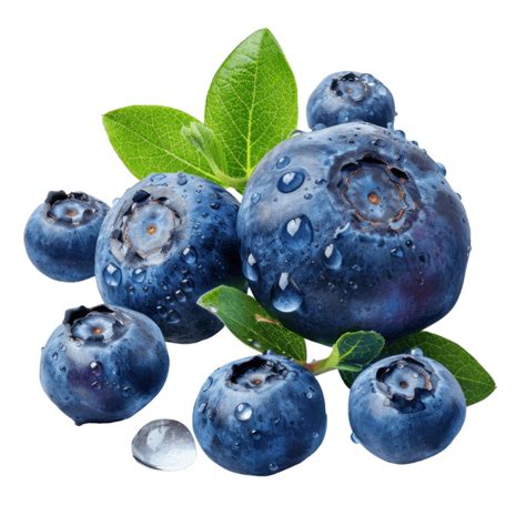 Blue Berry Pngs For Free Download