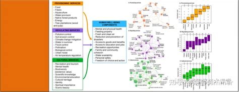 生态系统模型：solves、dndc、cmip6、gee林业、apsim、invest、无人机遥感、arcgis Pro模型等solves