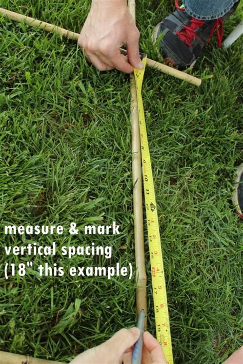 How To Build A Lattice Fence DIY Lattice Or Bamboo Plant Support Fence