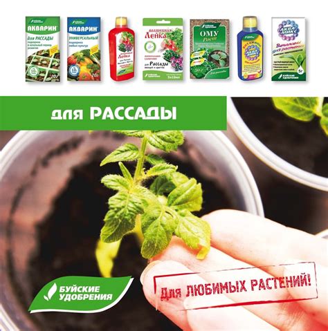 Управляем развитием рассады — Ботаничка