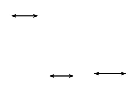 Stroma And Parenchyma 5 Digital Histology