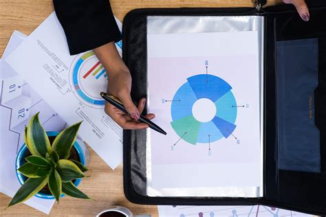 Report Analyzing Pixahive