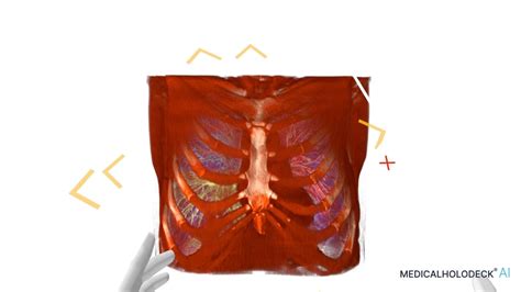 dicom auto segmentation in ar and vr with medicalholodeck r unity3d