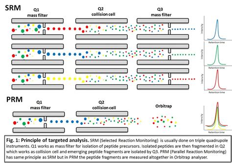 Targeted Proteomics Biocev