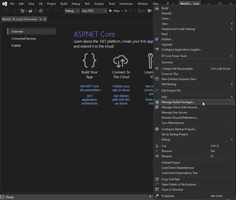 connect to mysql and mariadb with entity framework core — c guide