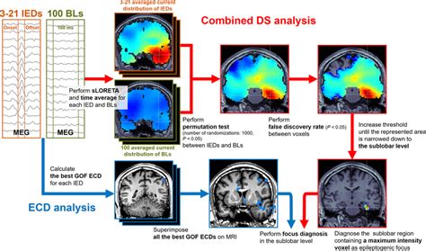 Schematic Representation Of The Cds And Ecd Analyses Ieds Were