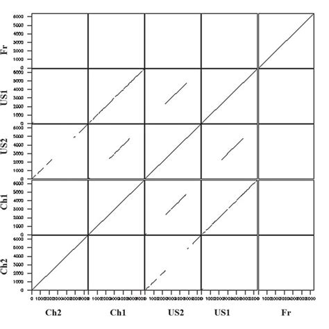 Detection Of Recombination In Pepmv Genomes Using Dot Plot Analysis