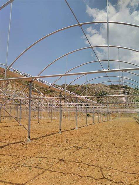 Greenhouses And Agricultural Machinery Prefabricated Houses Cyprus