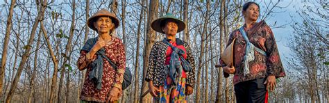 Tools For Gender Equity And Social Inclusion Annual Report 2021